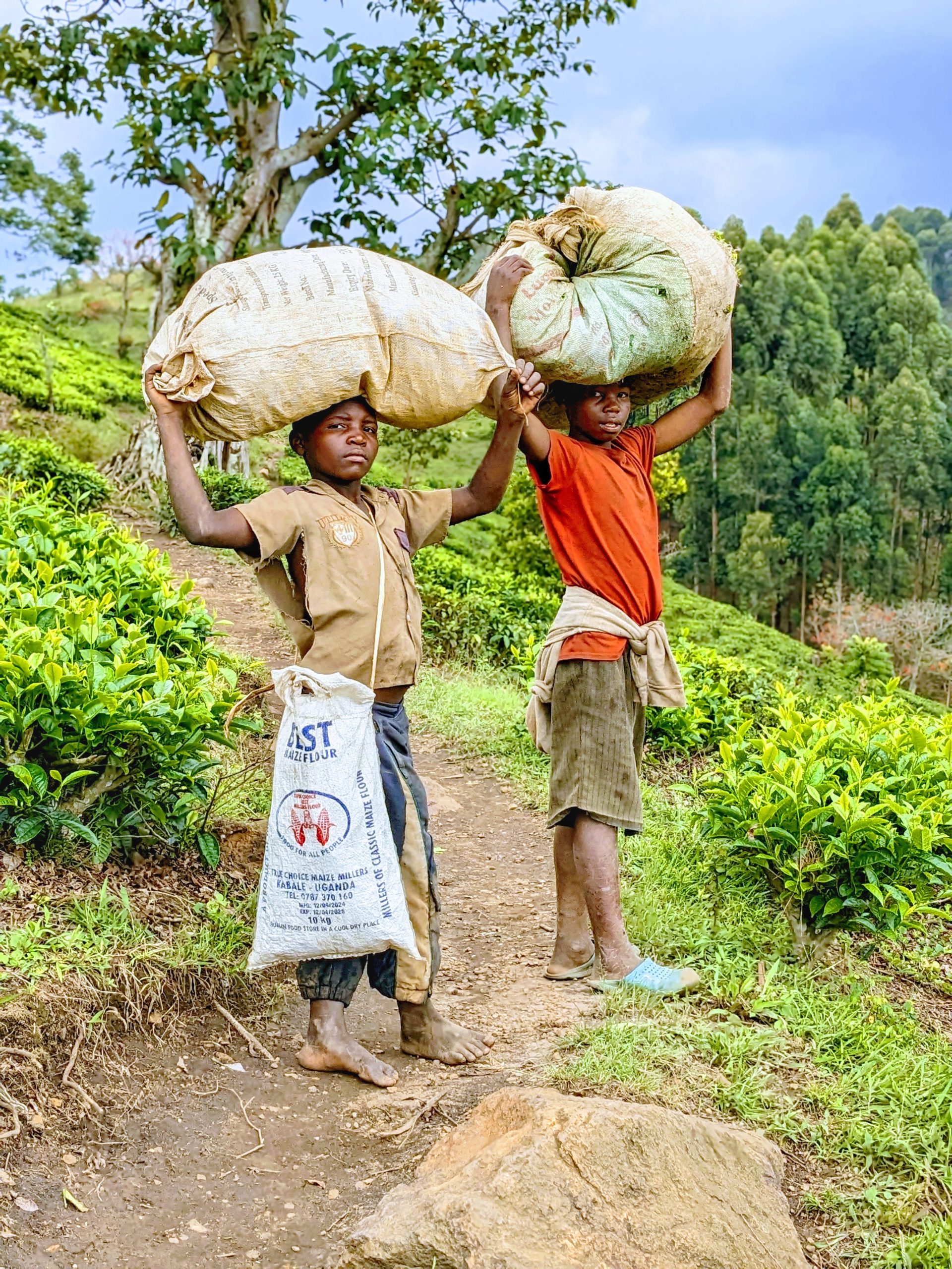 Volunteering in Uganda: A Life-Changing Experience - Kurikayo Africa ...